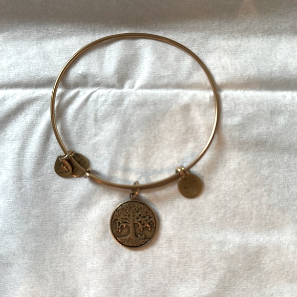 Alex and Ani | Jewelry | Alex And Ani Tree Of Life 25 Bangle | Poshmark